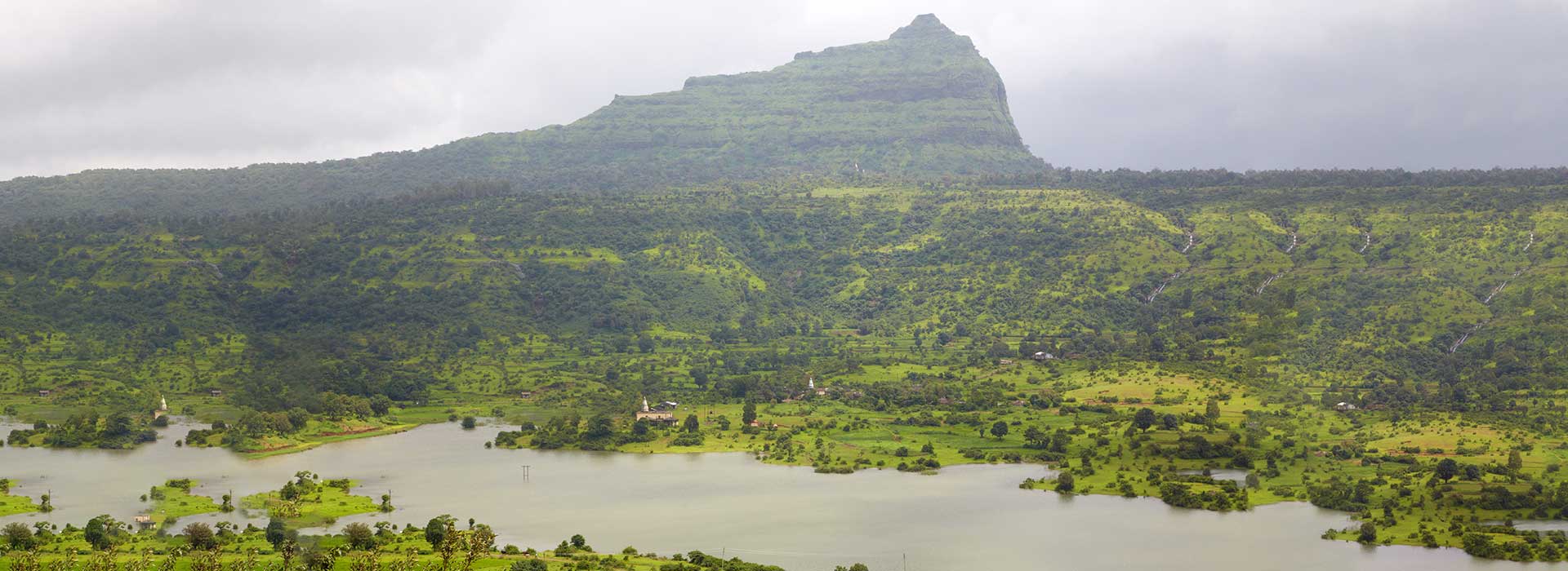 Balance in Nature: Appreciating an Ecosystem - Dharana at Shillim ...